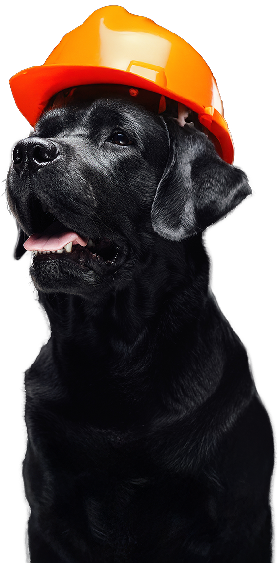 Northshore Builder | New Builds - Renovations - We Do It All!